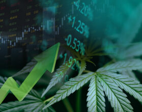 Podcasts Archives - The Dales Report