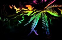 Cannabis Uplisting Rumours Keep Growing - The Dales Report