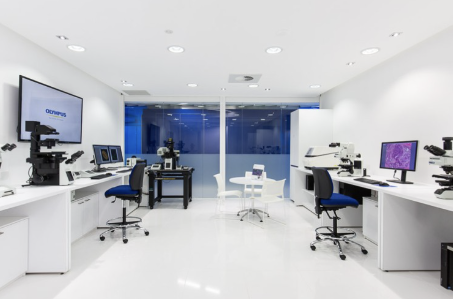 Cybin's Leap Forward: DMT-Based Therapy Ready for Phase 2 Trials - The ...