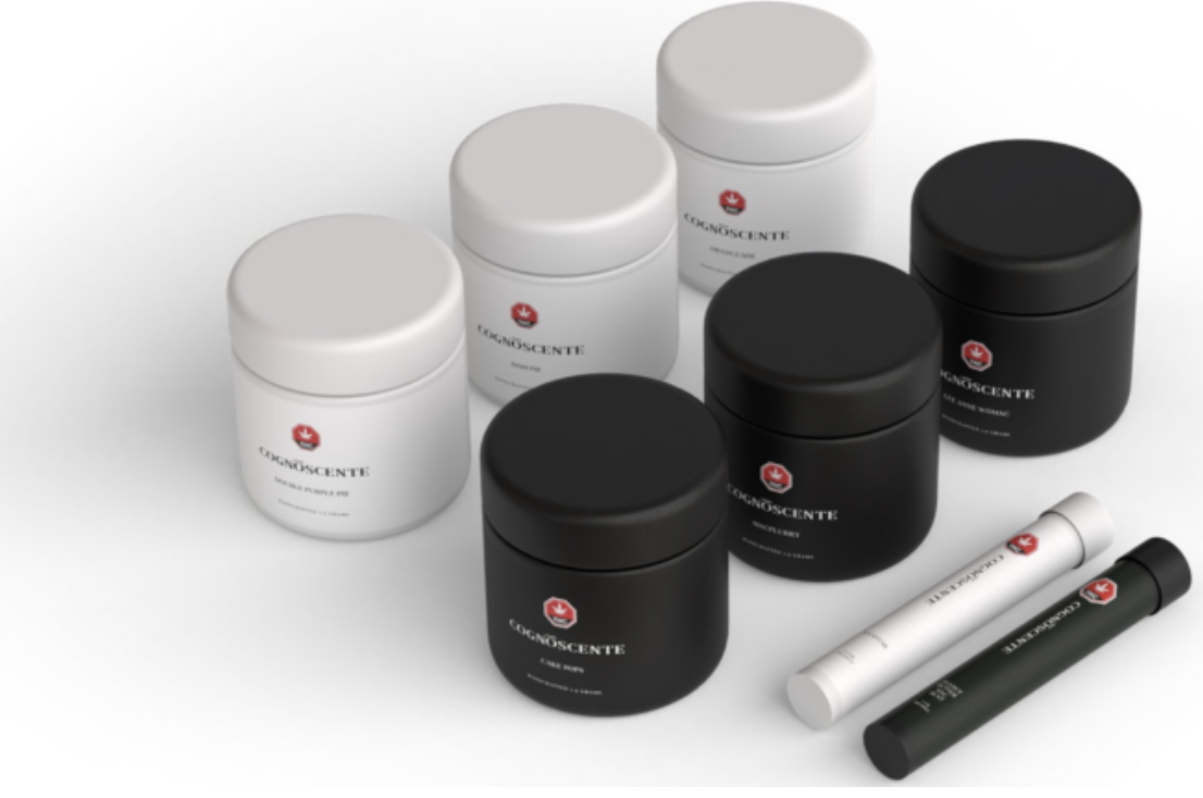 Avant Brands Earnings Surpasses Forecasts - The Dales Report